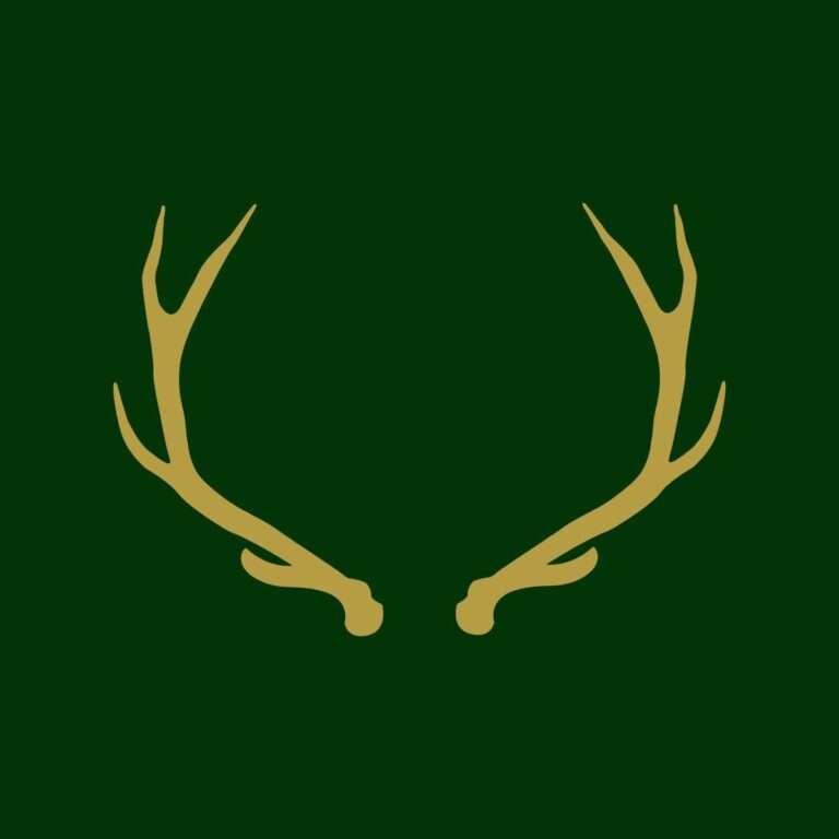 Start Your Own Elk Farm with Elk Ridge Farm: High-Quality Elk Livestock ...